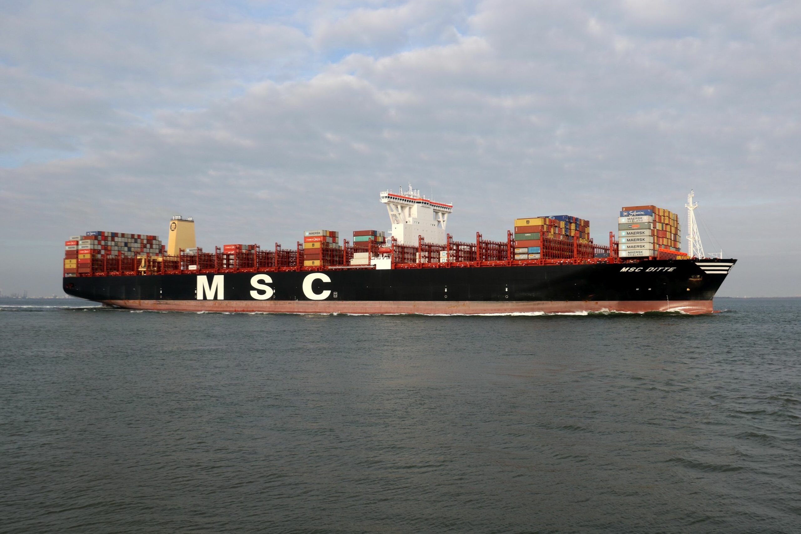 Containerschiff MSC DITTE – ship-spotting.de