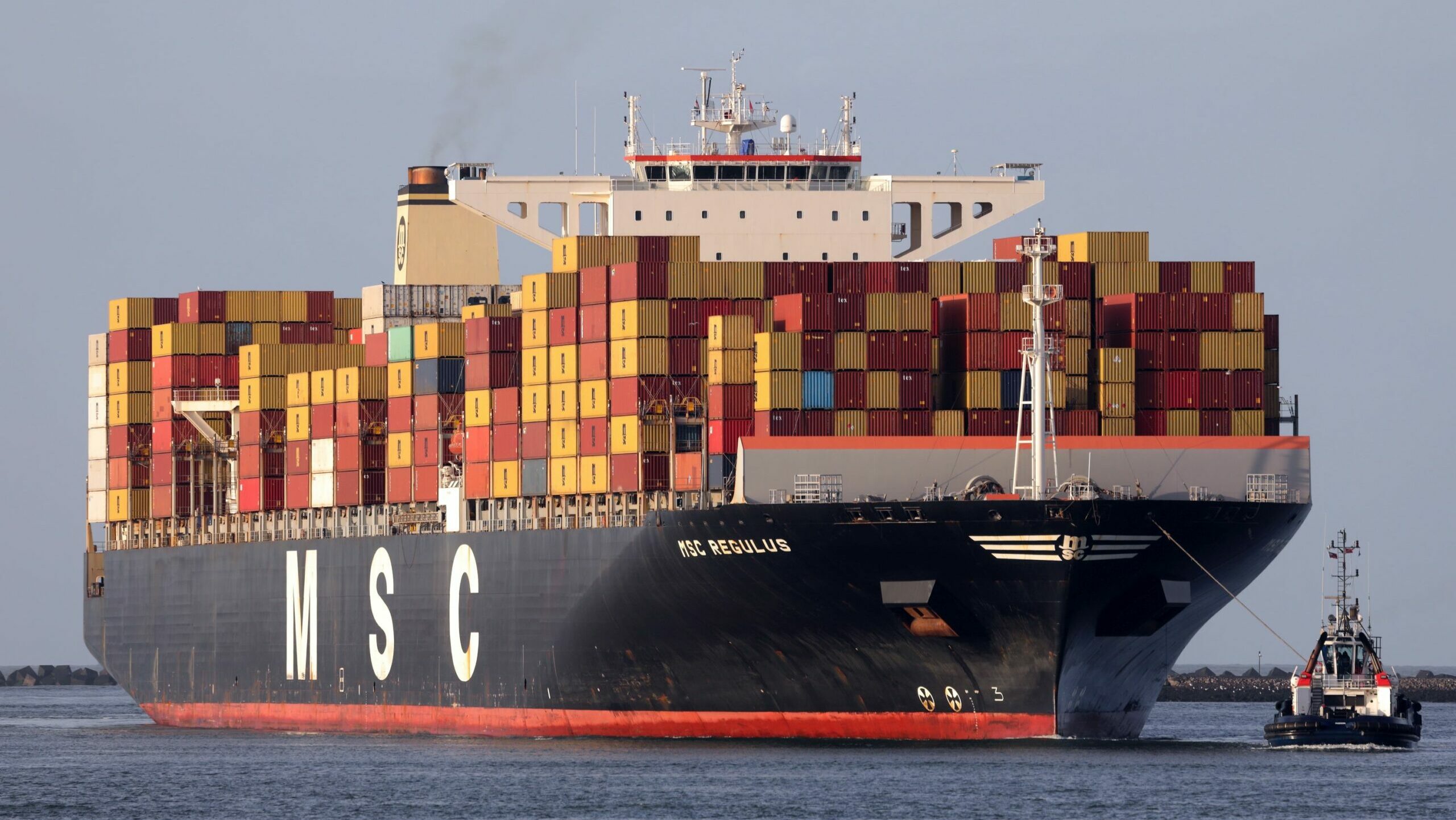 Containerschiff MSC REGULUS – ship-spotting.de